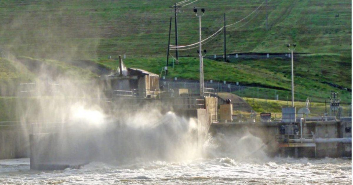 Save money and reduce climate change | Sonoma Clean Power