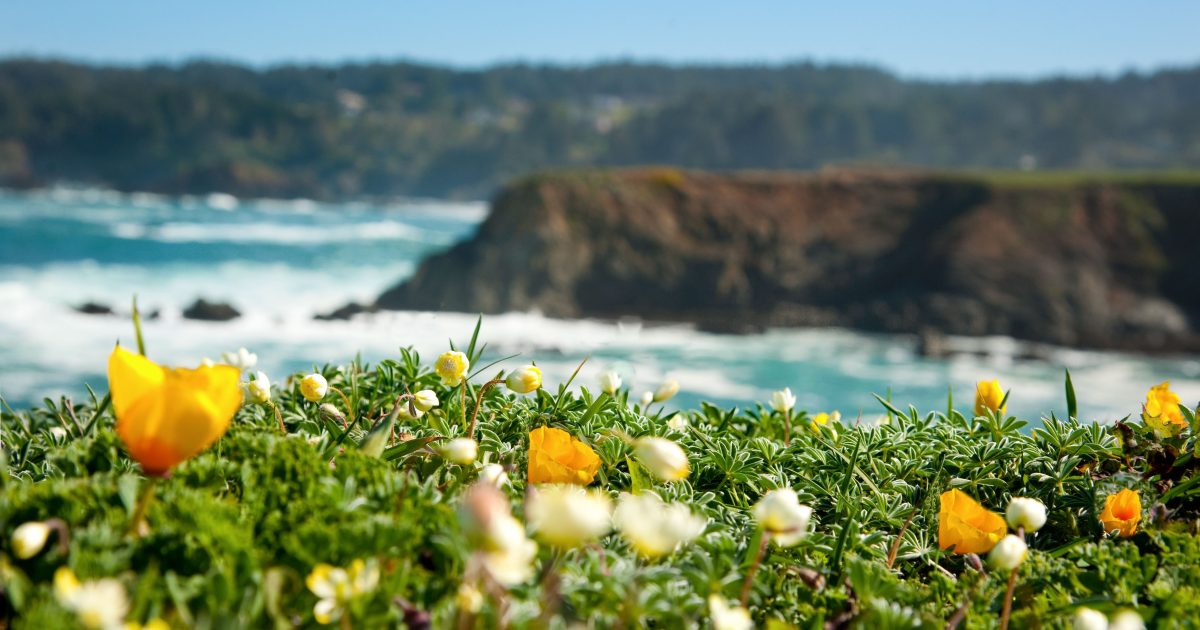 Summer Energy Saving Tips | Sonoma Clean Power