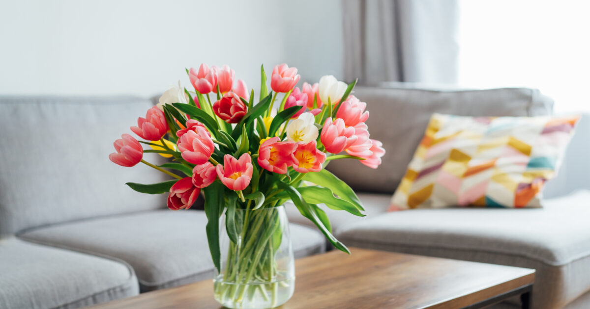 Spring Energy Tips | Sonoma Clean Power